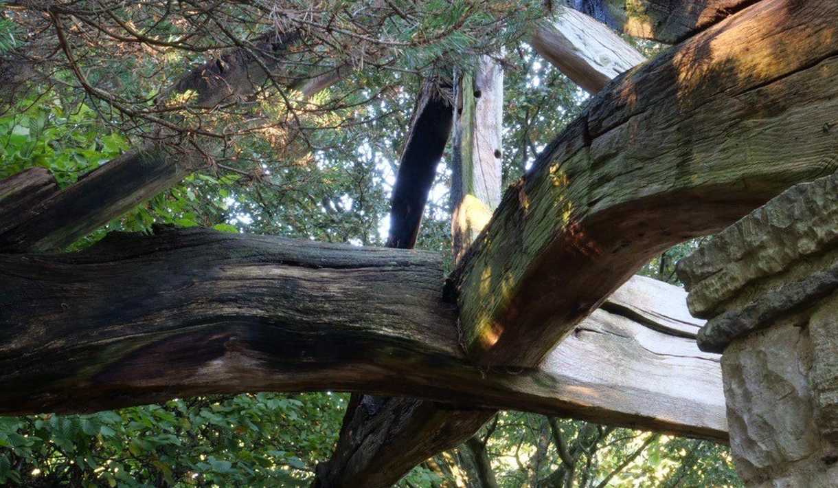 York Gate Garden | Perennial