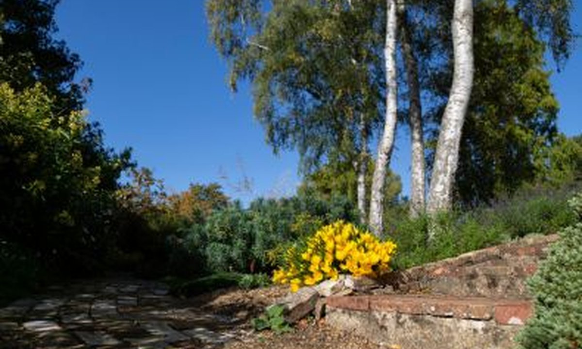 Autumn Photography Workshop with Phil Morley | Perennial