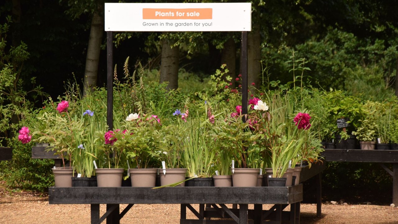 Nursery Assistant Heather Medcraft shares the story of her journey at ...