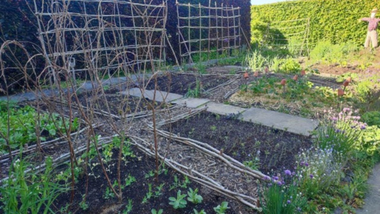 A Season on Geoff's Patch: running the Kitchen Garden at York Gate ...