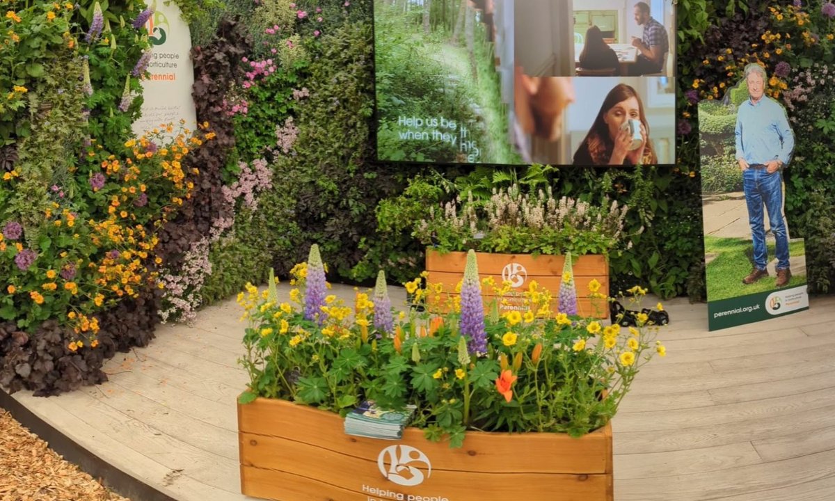 Perennial make a return to the 2023 RHS Chelsea Flower Show | Perennial