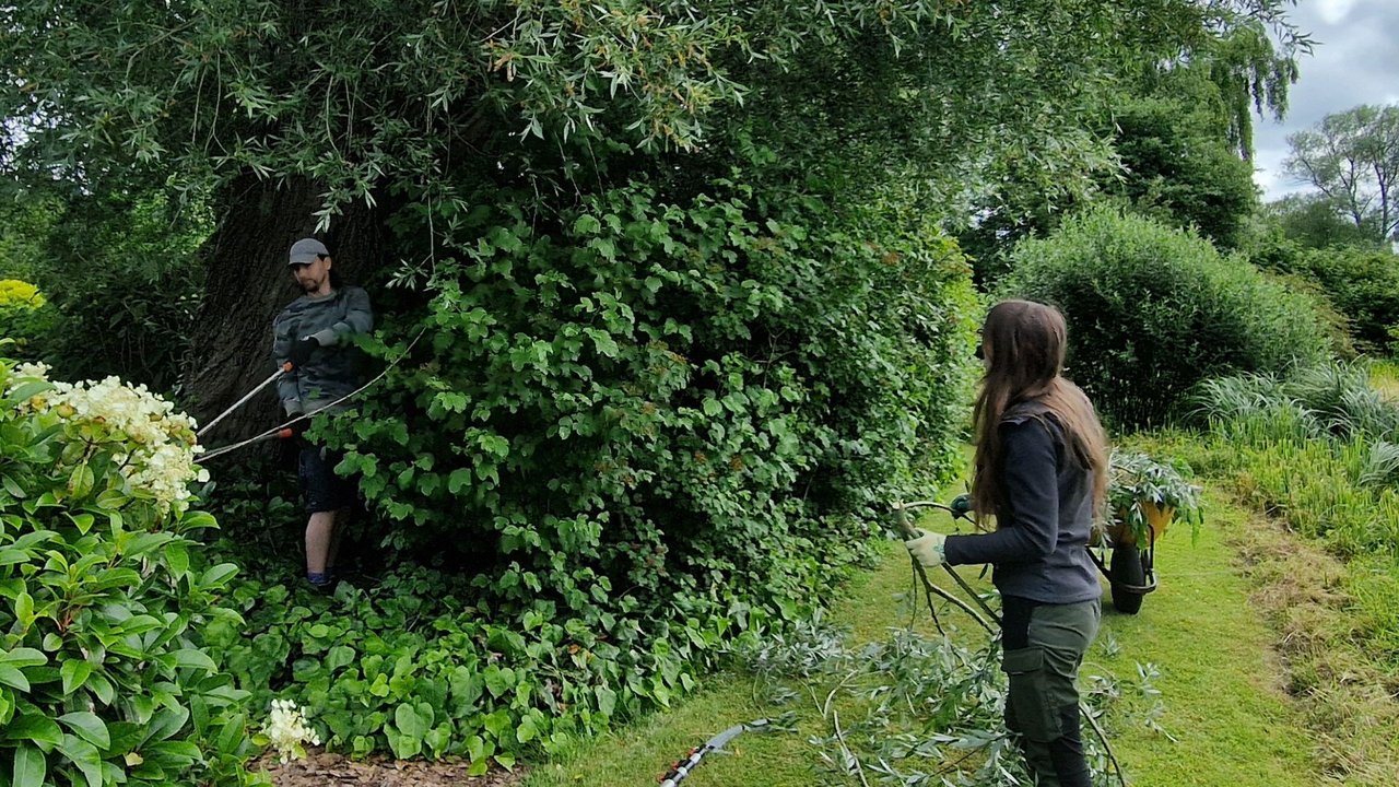 Celebrating our horticulture apprentices at Fullers Mill Garden | Perennial