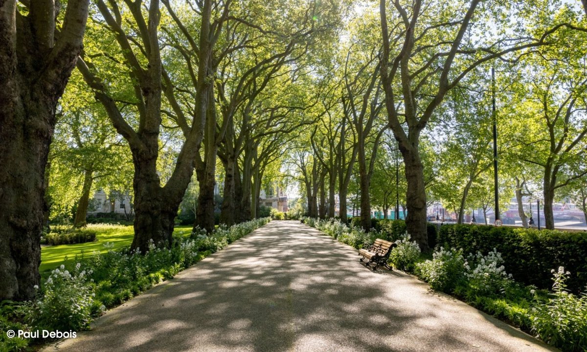 Inner and Middle Temple Gardens | Perennial