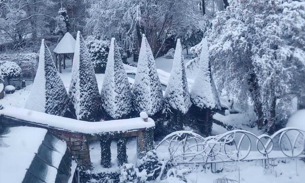 York Gate Garden | Perennial