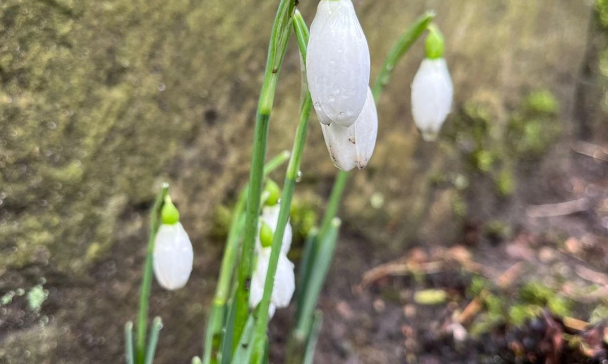 Art blooms at York Gate | Perennial
