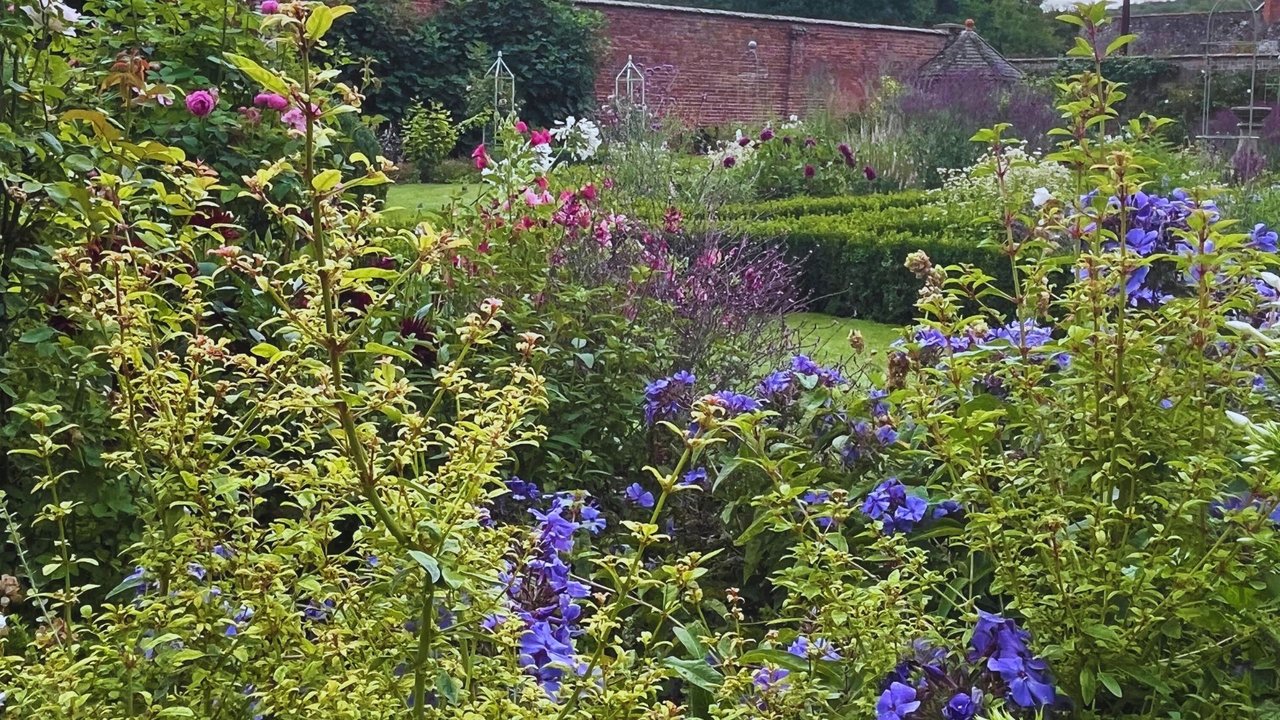 Rycote Park and Adwell Estate | Perennial